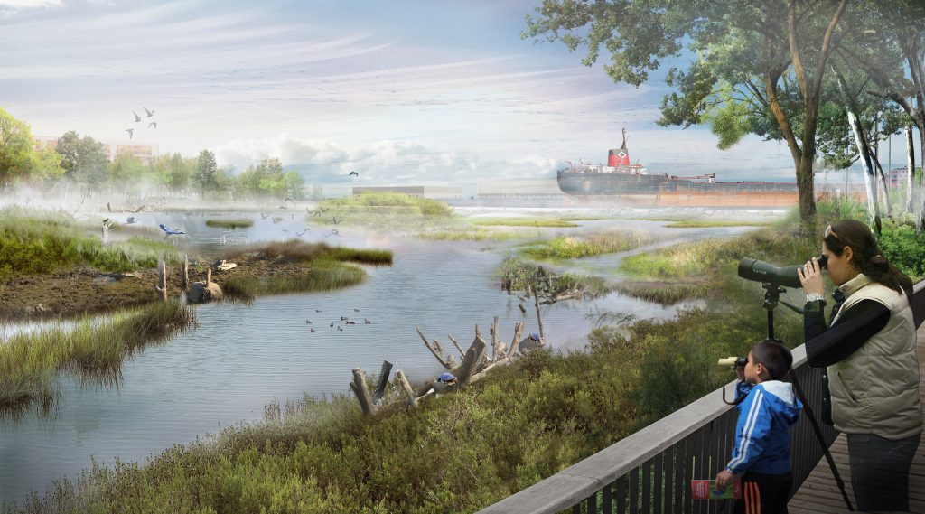 Creating New Wildlife Habitats in the Port Lands - Waterfront Toronto